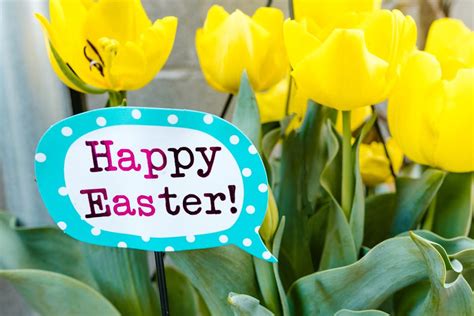 Image result for Hello Spring Story