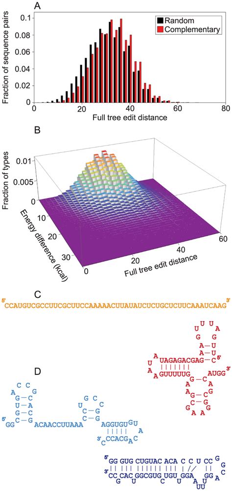 Image result for What Is Complementary Structure of Two Strands