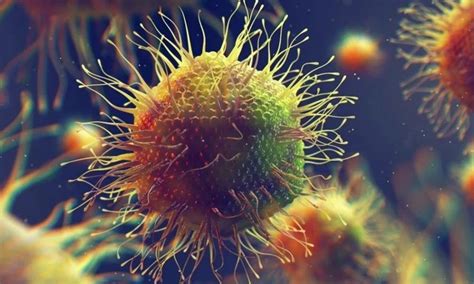 Image result for Alien Meteor Virus