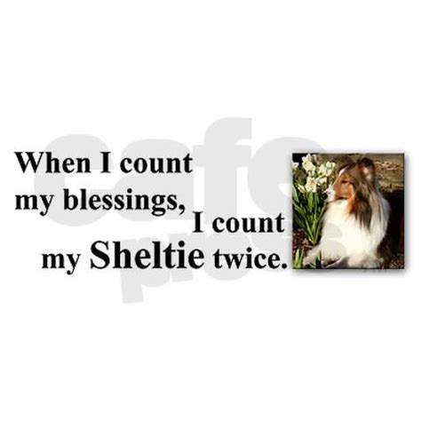 Image result for Sheltie Spring Pictures