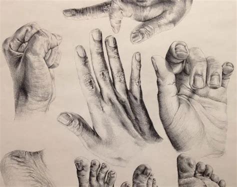 Image result for 4-H Graphite Drawing