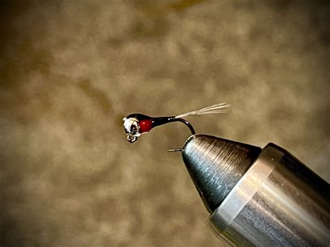 Image result for Pleava Perdigon Fly Pattern