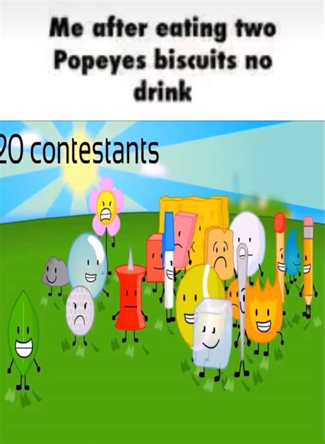 Image result for BFDI YoutubePoop