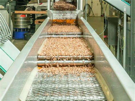 Image result for Insect Production