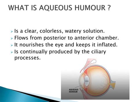 Image result for Aqueous Humor