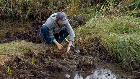 Image result for Salt Spring Island Conservancy