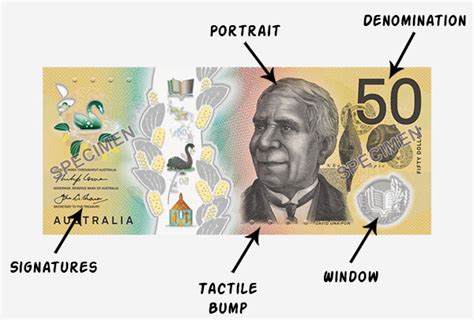 Image result for Type of Banknote