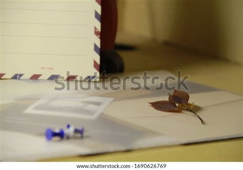 Image result for Still Life Human Model