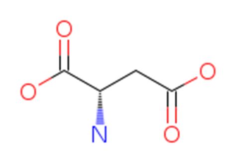 Image result for ASP Structure