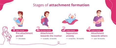 Image result for Attachment Behavior