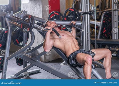 Image result for Chest Exercise Machine