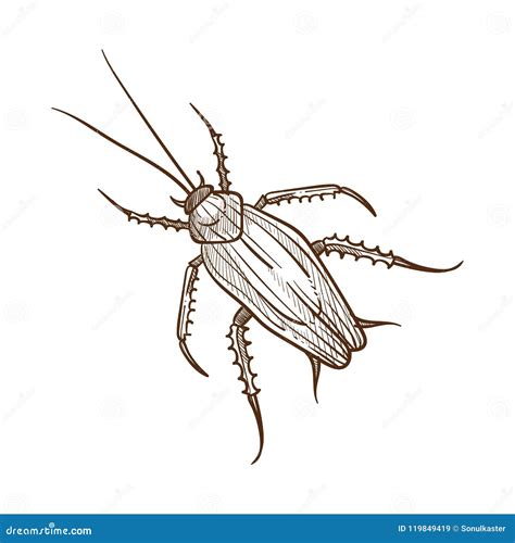 Image result for Cockroach Legs
