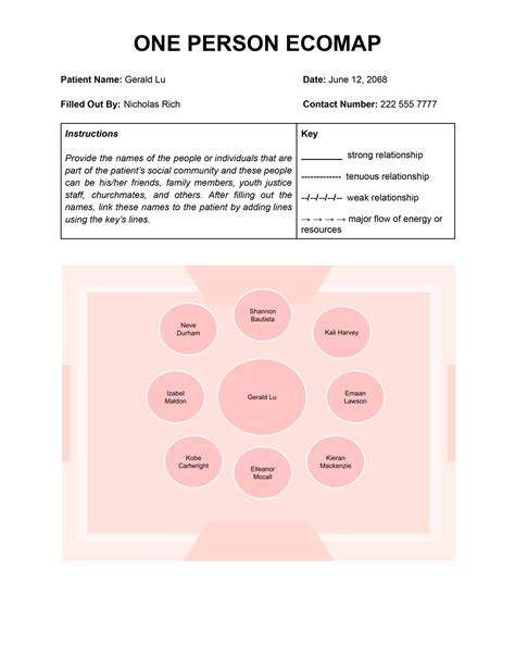 Image result for Ecomap Example with Key