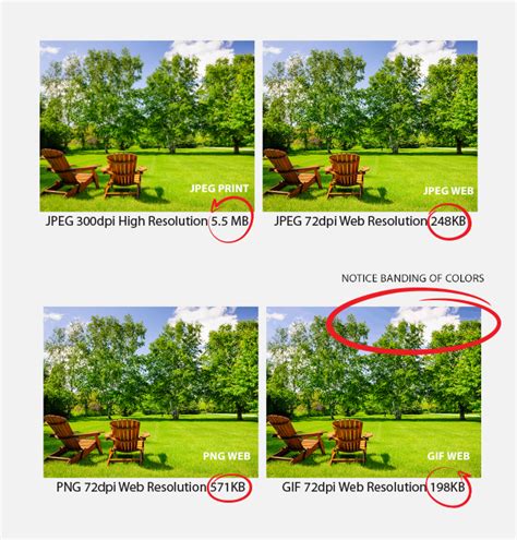 Image result for Web File Formats