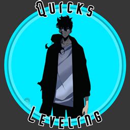 Image result for Custom LevelQuik
