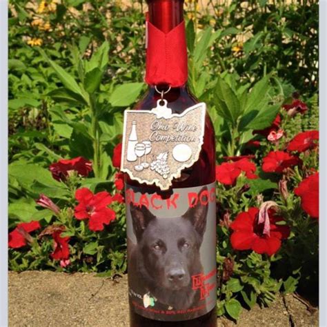 Image result for Willow Tree Rust