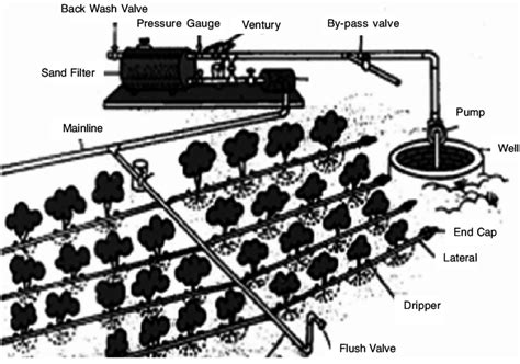 Image result for Drip Irrigation System Design Layout