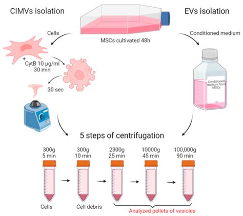Image result for Vortexing