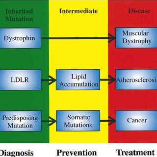 Image result for Three Types of Genetic Disorders
