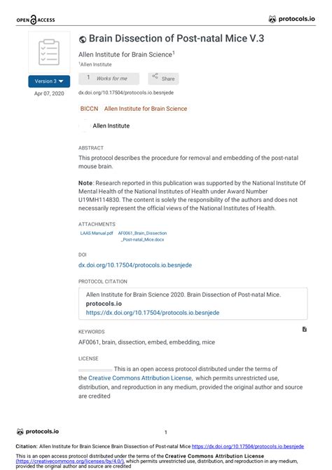 Image result for Mice Brain Dissection