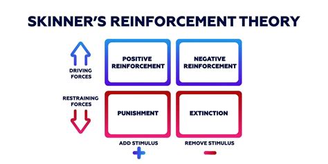 Image result for Learning through Reinforcement Theory