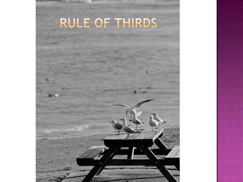 Image result for Sample Composition Slide