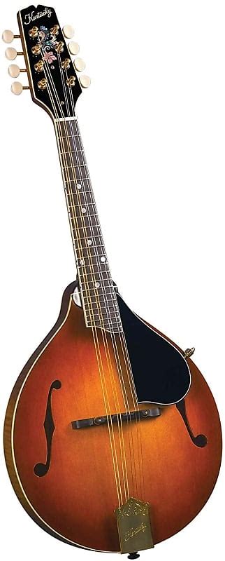 Image result for 4 String Mandolin