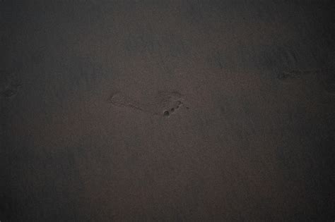 Image result for Still Life Human Model