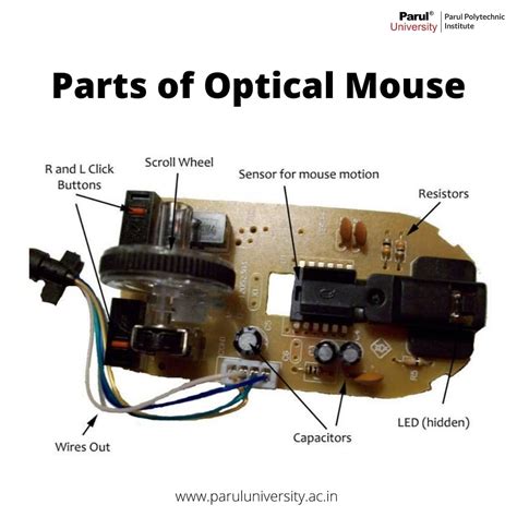 Image result for Computer Mouse Components