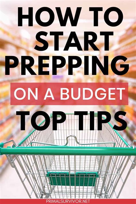 Image result for Prepper Princess Budget Tips