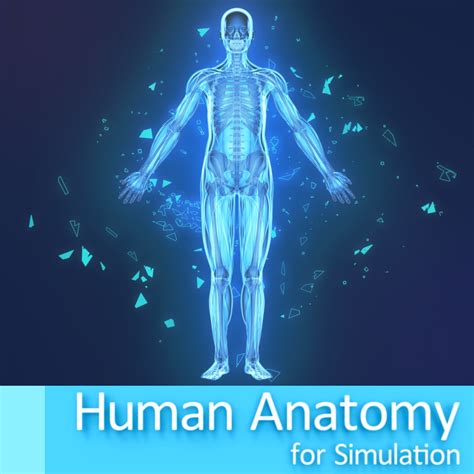 Image result for Human Simulation