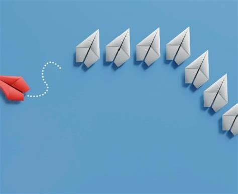 Image result for Out Group. Examples