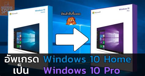 Image result for Windows 10 Home Single Language to Pro Update