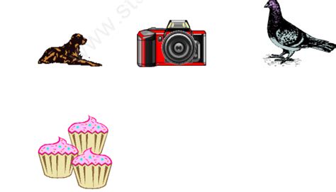 Image result for Class 1 Computer Science Questions