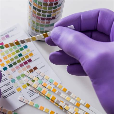 Image result for Drug Testing