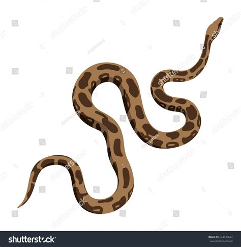 Image result for Python Snake Brown