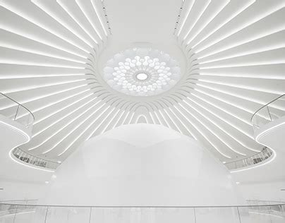 Image result for Hyper Roof Design