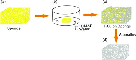 Image result for Coating TiO2 onto Celluolose Sponge