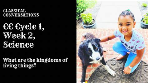 Image result for CC Cycle 1 Week 14 Math