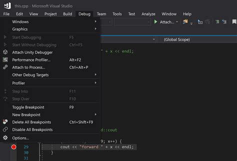 Image result for The Debugging Process in Visual Studio