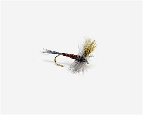 Image result for Red Quill Fly Pattern