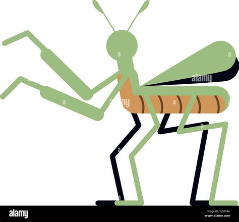 Image result for Cricket Insect Jump Animation