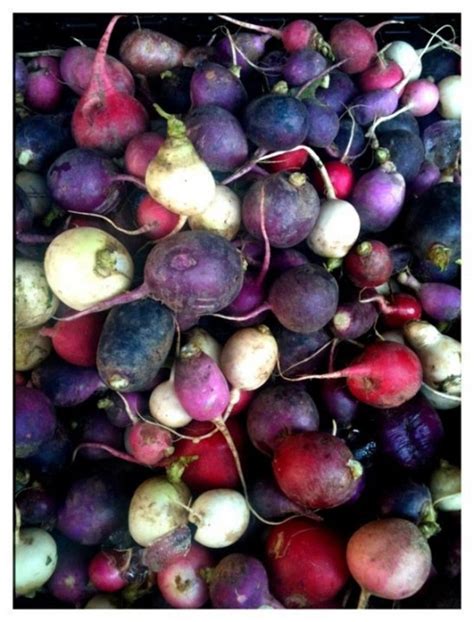 Image result for Color of Beets