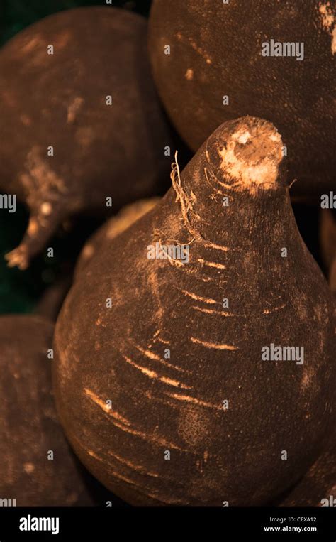 Image result for Different Types of Taro Root