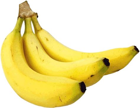 Image result for Java Banaan