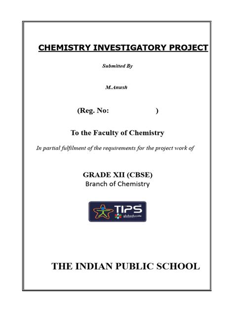 Image result for Class 12 Project Index in Creativity