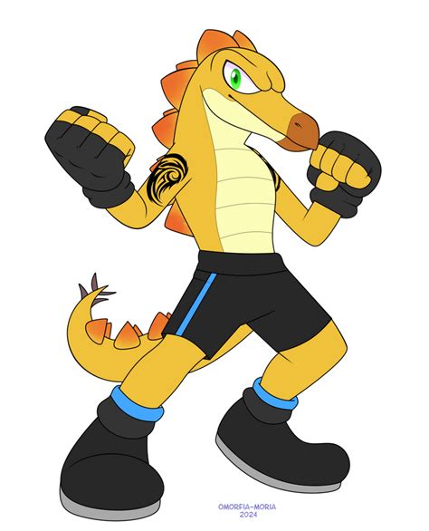 Image result for Convert Ice Chest Turtle