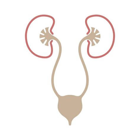 Image result for Urethrogram Logo