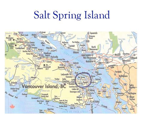 Image result for Topographical Map of Salt Spring Island