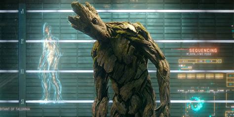 Image result for Groot Information